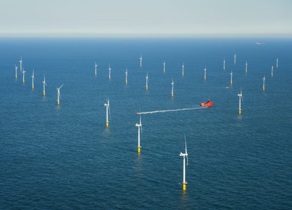 The Danish Energy Agency resumes the processing of Aflandshage and ...