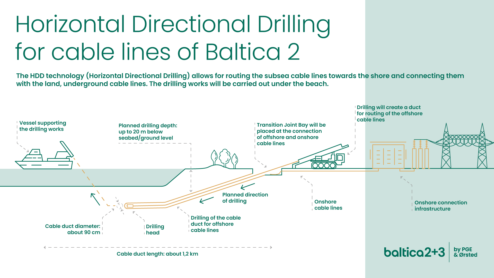 Unique study: birds avoid wind turbine blades - Baltic Wind