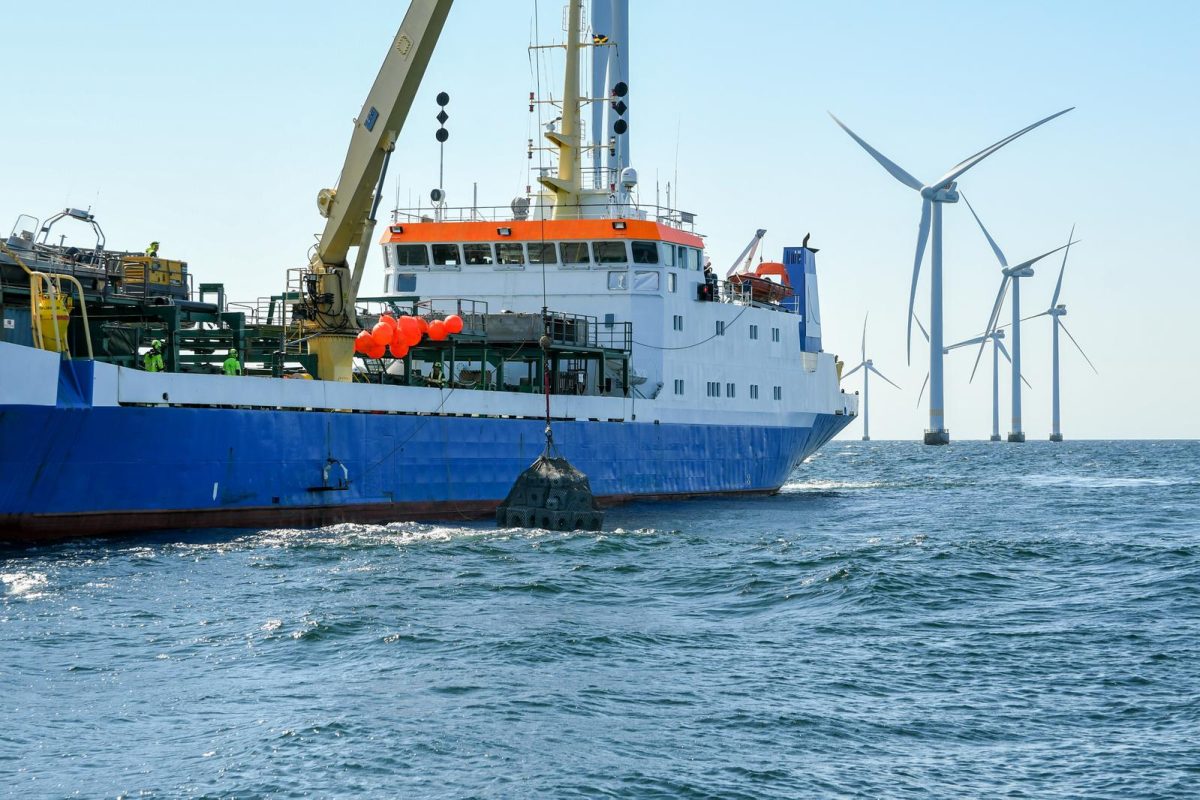 International Day for Biological Diversity: RWE tests artificial reefs ...