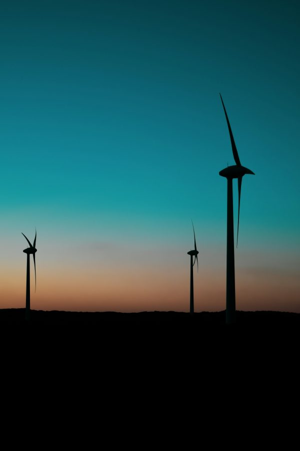 Skyborn Renewables plans to build offshore wind farm in Sweden - Baltic ...
