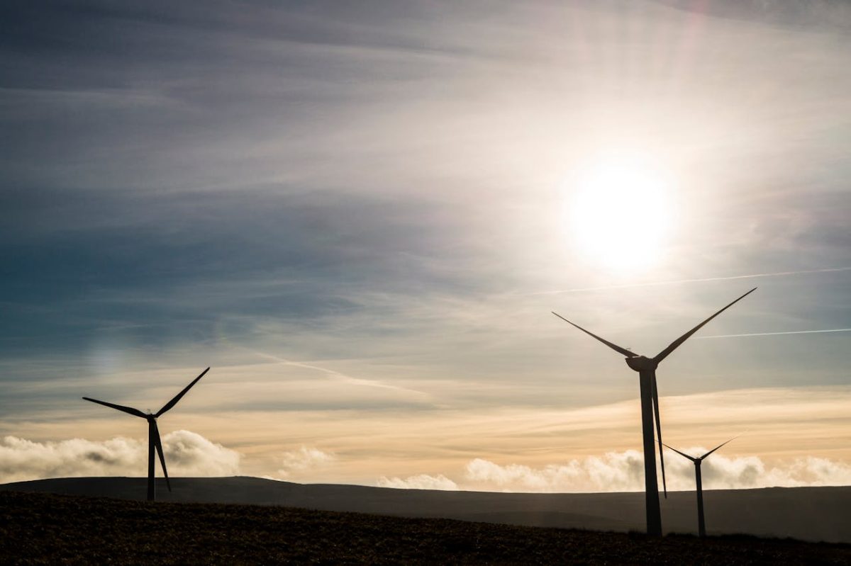 Lithuania to restart tender for second offshore wind farm - Baltic Wind