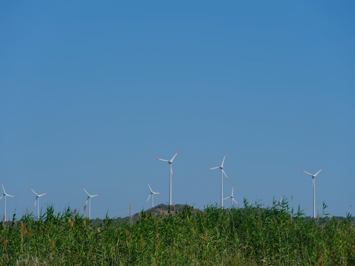 Wind, Solar, and Batteries to Anchor Denmark’s Future Power System ...