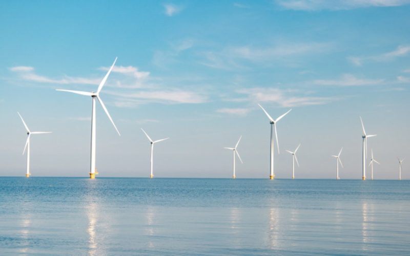 German wind body warns planned energy law changes could trigger crisis ...